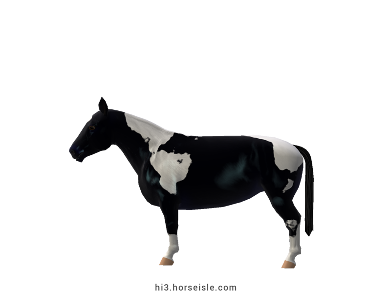 Horse Isle 3: Big Book of Breeds