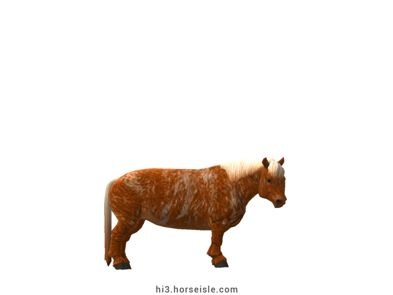 Horse Isle 3: Big Book of Breeds