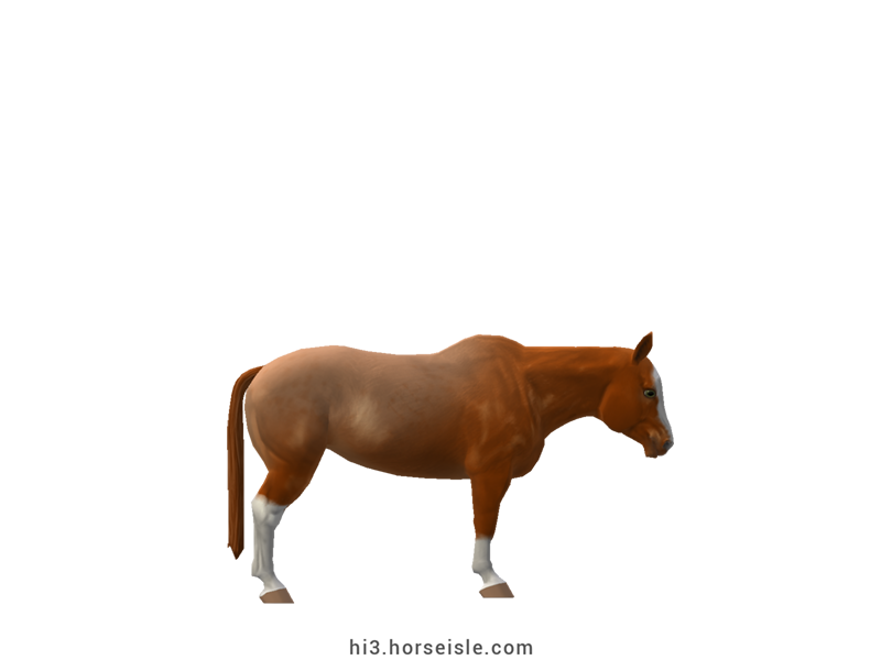 Horse Isle 3: Big Book of Breeds