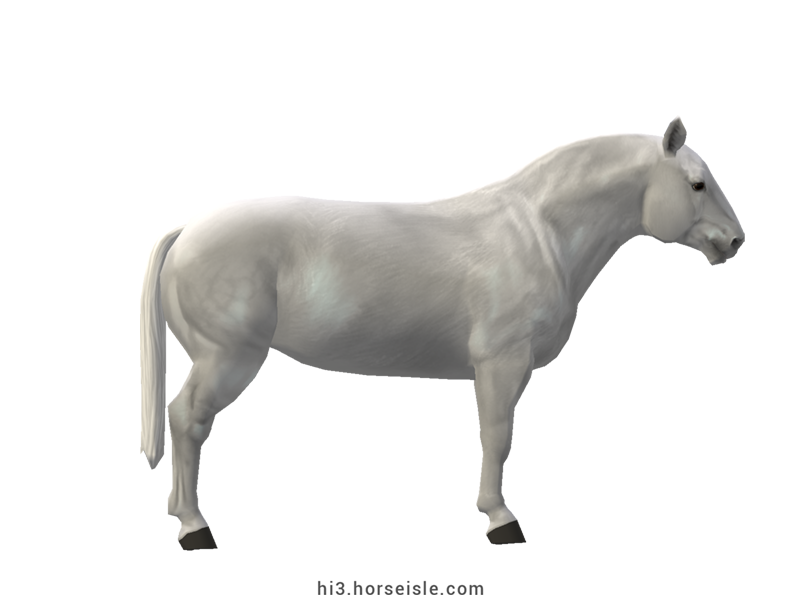 Horse Isle 3: Big Book of Breeds