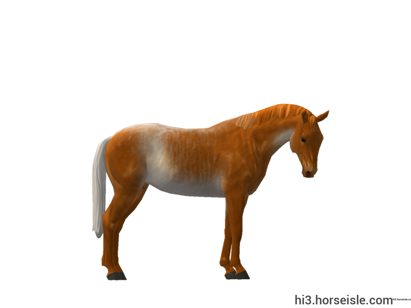 Horse Isle 3: Big Book of Breeds
