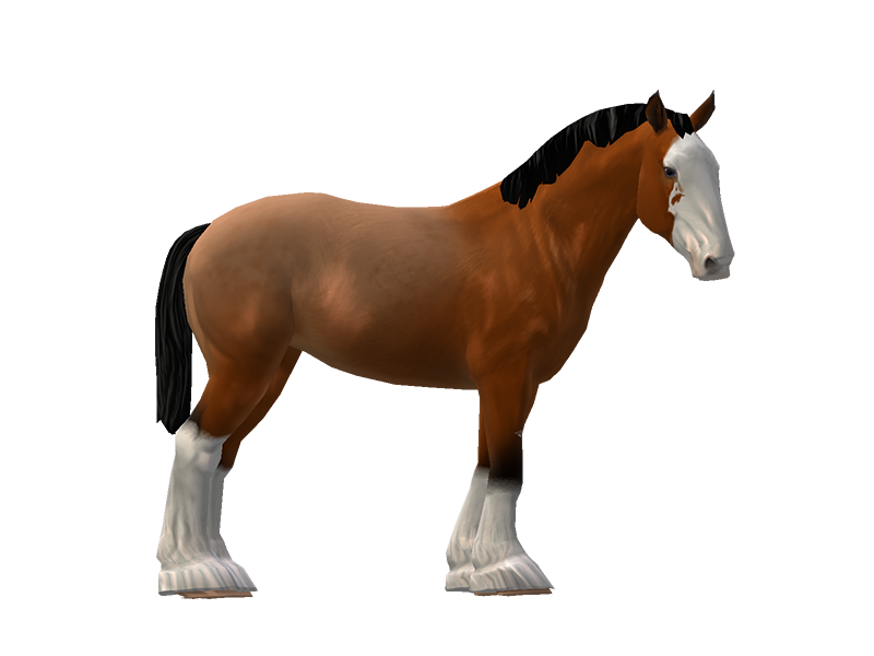 Horse Isle 3: Big Book of Breeds