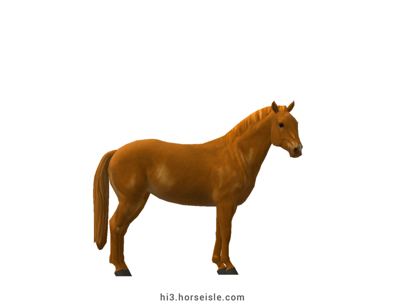 Horse Isle 3: Big Book of Breeds