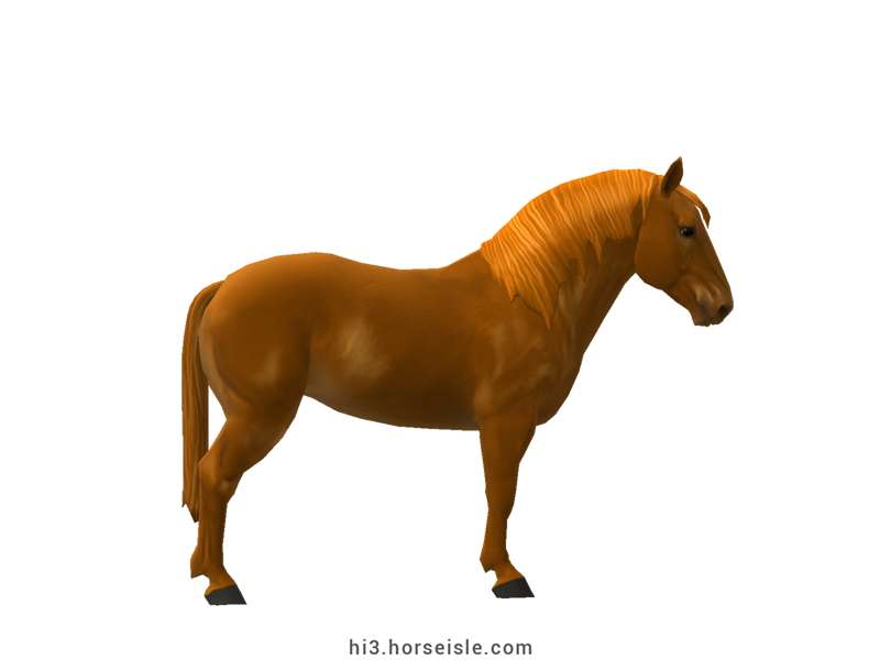 Horse Isle 3: Big Book of Breeds