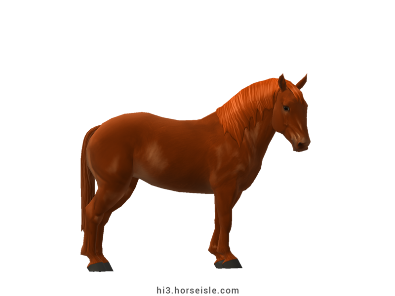 Horse Isle 3: Big Book of Breeds