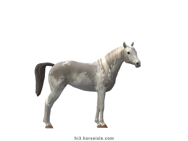 Horse Isle 3: Big Book of Breeds