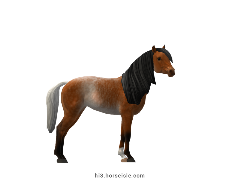 Horse Isle 3: Big Book of Breeds